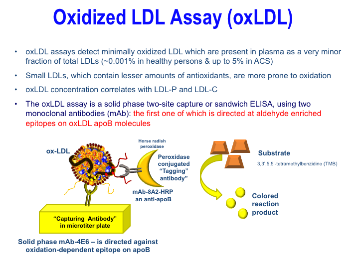 Tom Dayspring, M.D., FACP, FNLA – Part V of V: Lp(a), inflammation ...