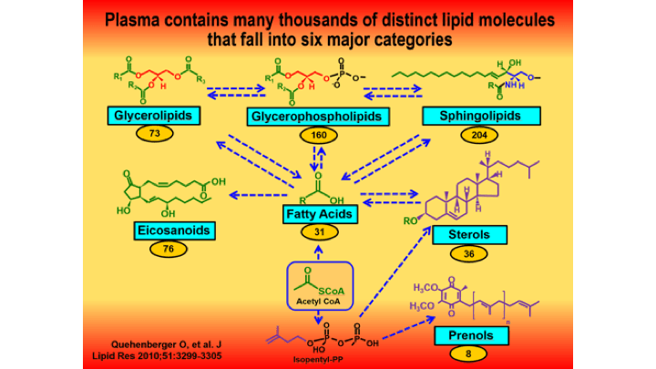 Tom Dayspring, M.D., FACP, FNLA – Part I of V: an introduction to ...