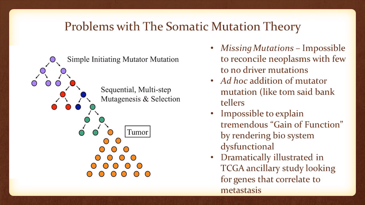 Thomas Seyfried, Ph.D.: Controversial discussion—cancer as a ...