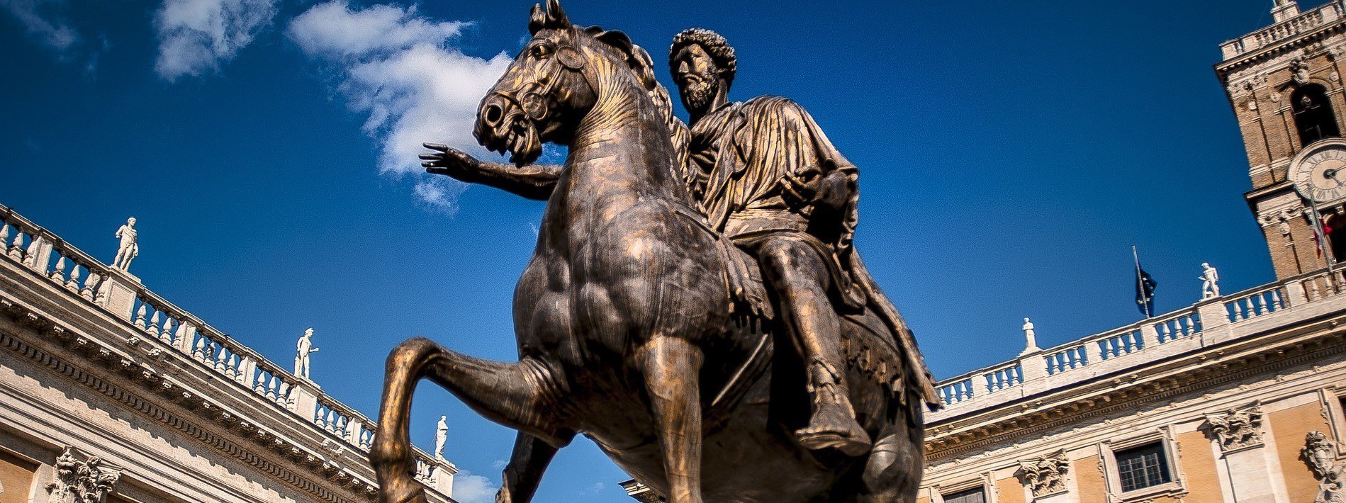 Timely - Peter Attia