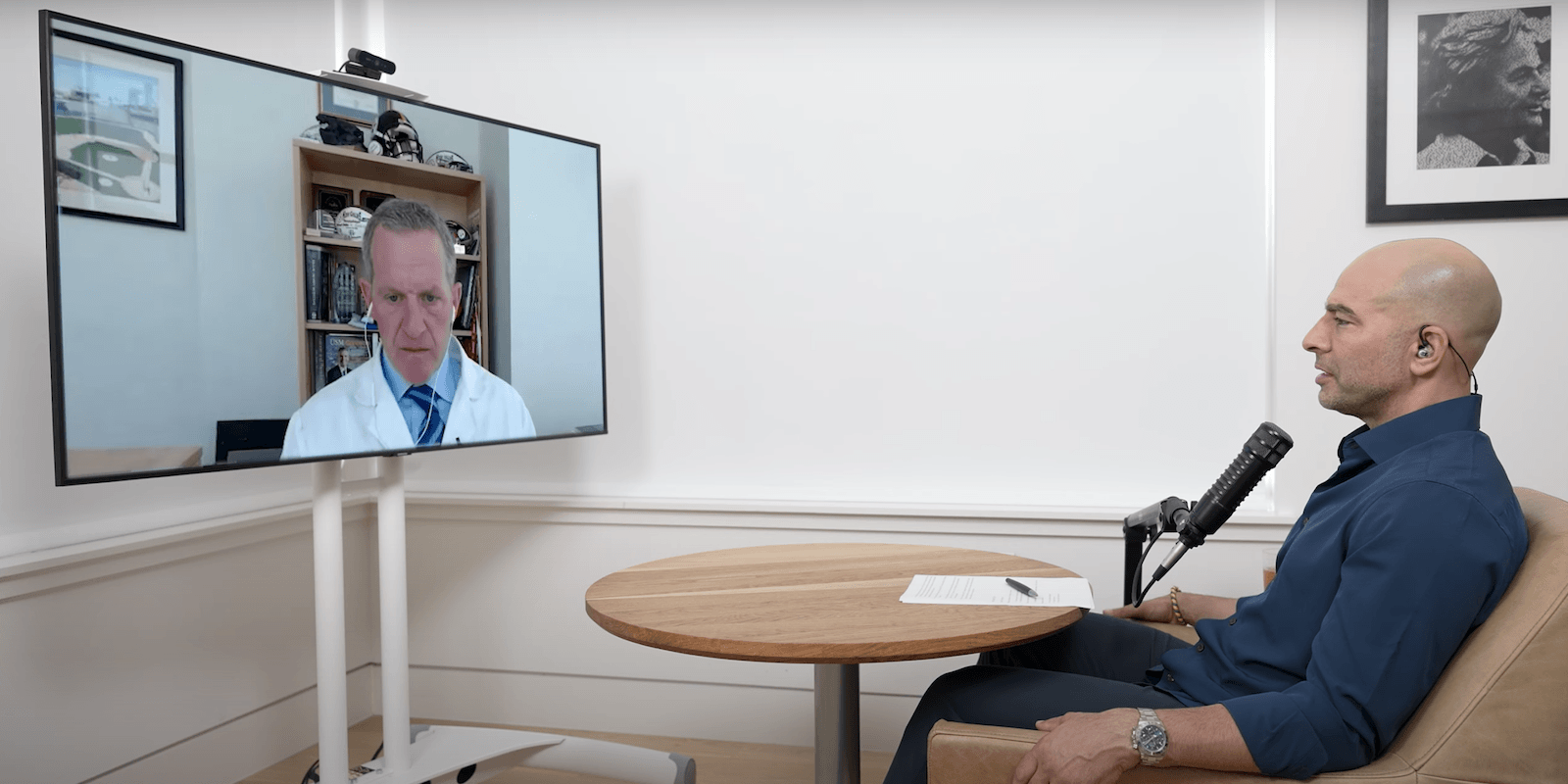 #263 ‒ Concussions and head trauma: symptoms, treatment, and recovery ...