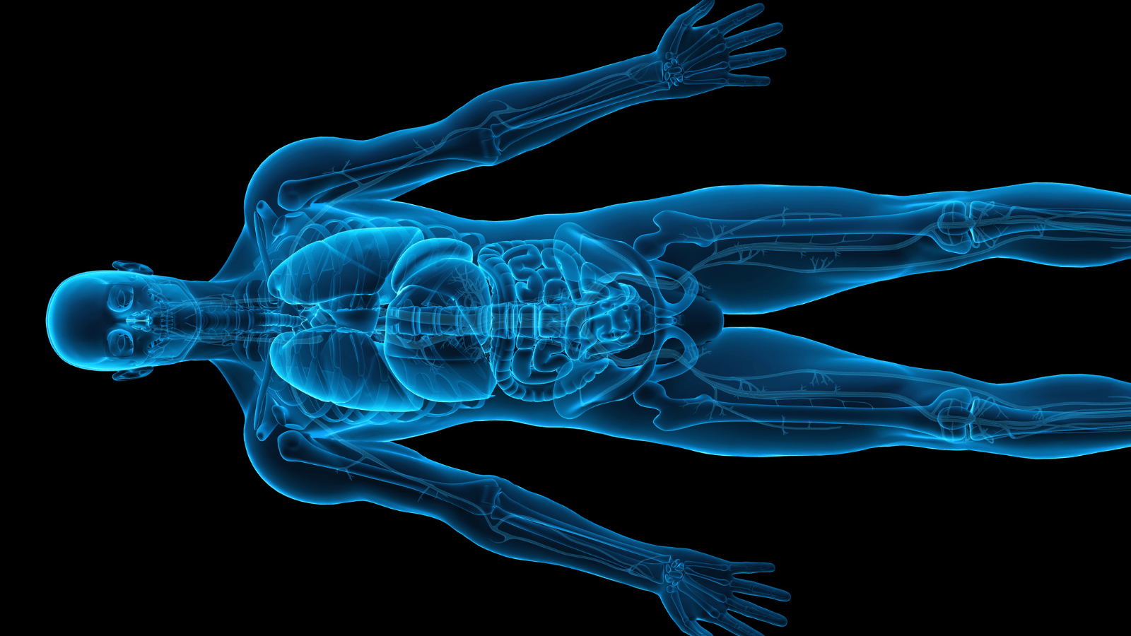 Body composition: impact on disease risk and how to assess and improve ...