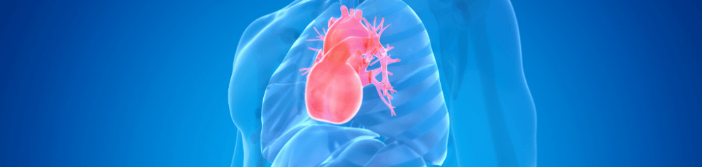 High Lp(a) warrants intervention, even without other cardiovascular ...