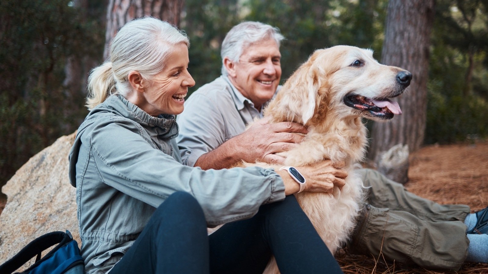 A practical guide to tick prevention and peace of mind during time ...